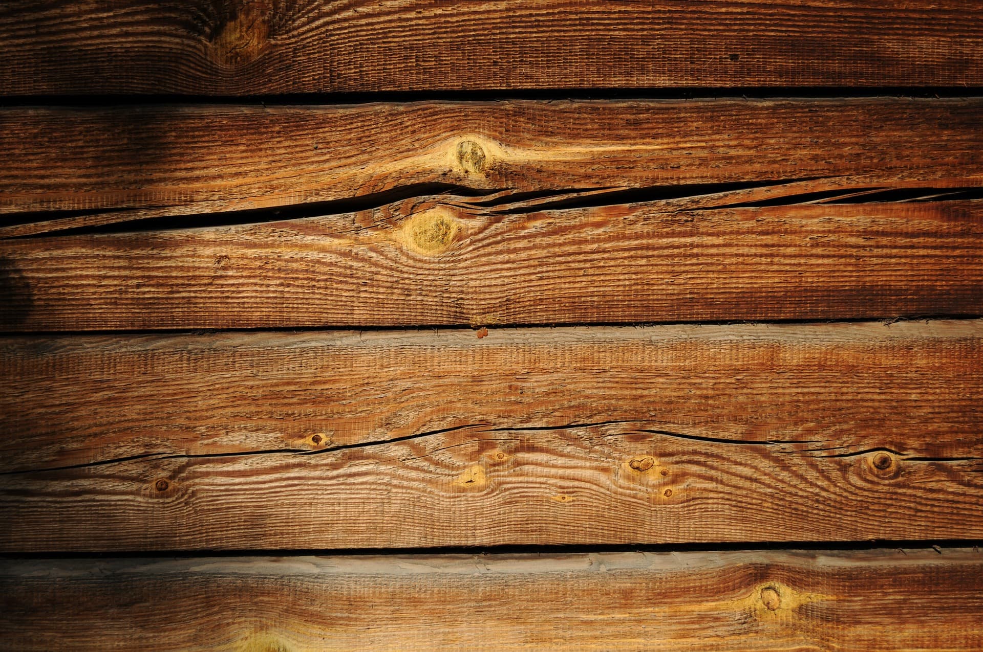 Names That Mean Carpenter | 67 Carpentry and Lumberjack Ideas for Girls ...