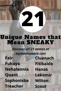 Names That Mean Sneaky (23 Ideas for Boys and Girls) • My Mom's a Nerd