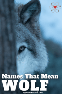 Names That Mean Wolf - 60 Great Ideas For Boys and Girls • My Mom's a Nerd