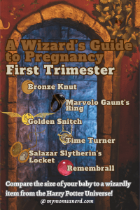A Wizard’s Guide to Pregnancy • My Mom's a Nerd
